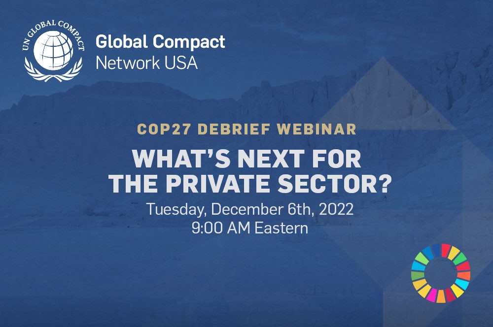 COP27 Debrief: What's Next for the Private Sector?